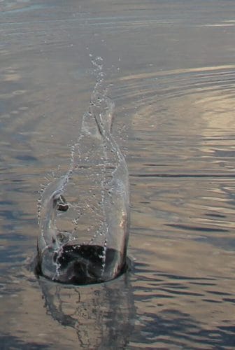 Skip Rocks | Prayers and Promises