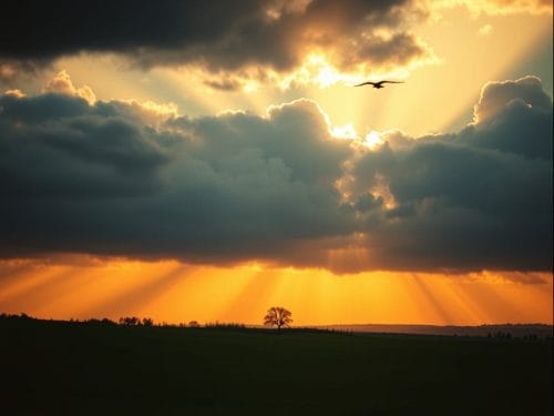 Hope After the Storm: Inspirational Quotes - Prayers and Promises